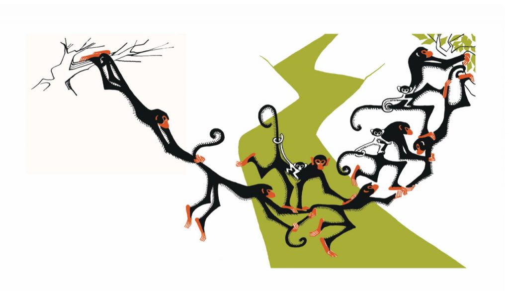 Spider Monkeys from Who Am I? – saarinenfamilydesigns